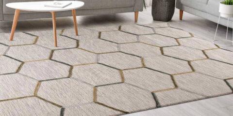 5 Best Pet-friendly Rugs for Dog and Cat Owners